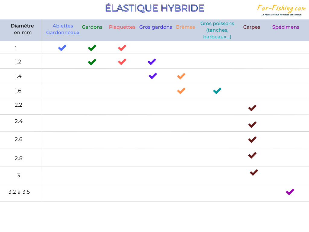 Quels élastiques pour quels poissons? - For Fishing