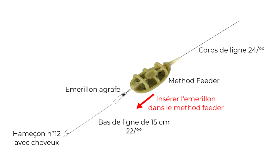Comment pêcher la carpe au method feeder ? - For Fishing